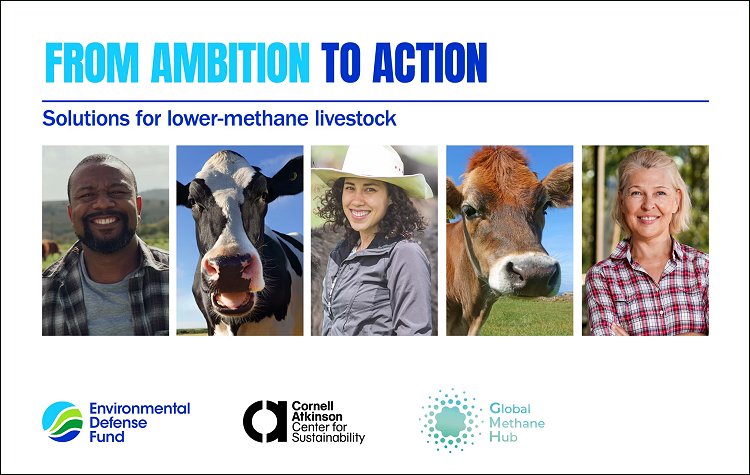 From Ambition to Action: Solutions for Lower-Methane Livestock (NYC ...